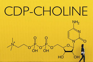CDP-Choline – Focus Supplements
